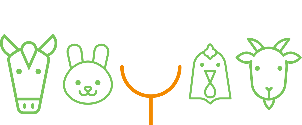 Quality Horse Hay & Feed | Standlee Premium Western Forage