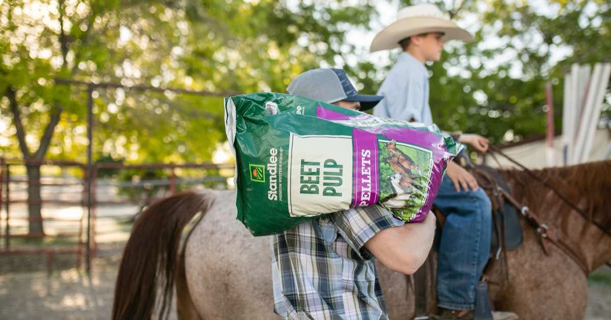 Beet Pulp for Horses – Part 1