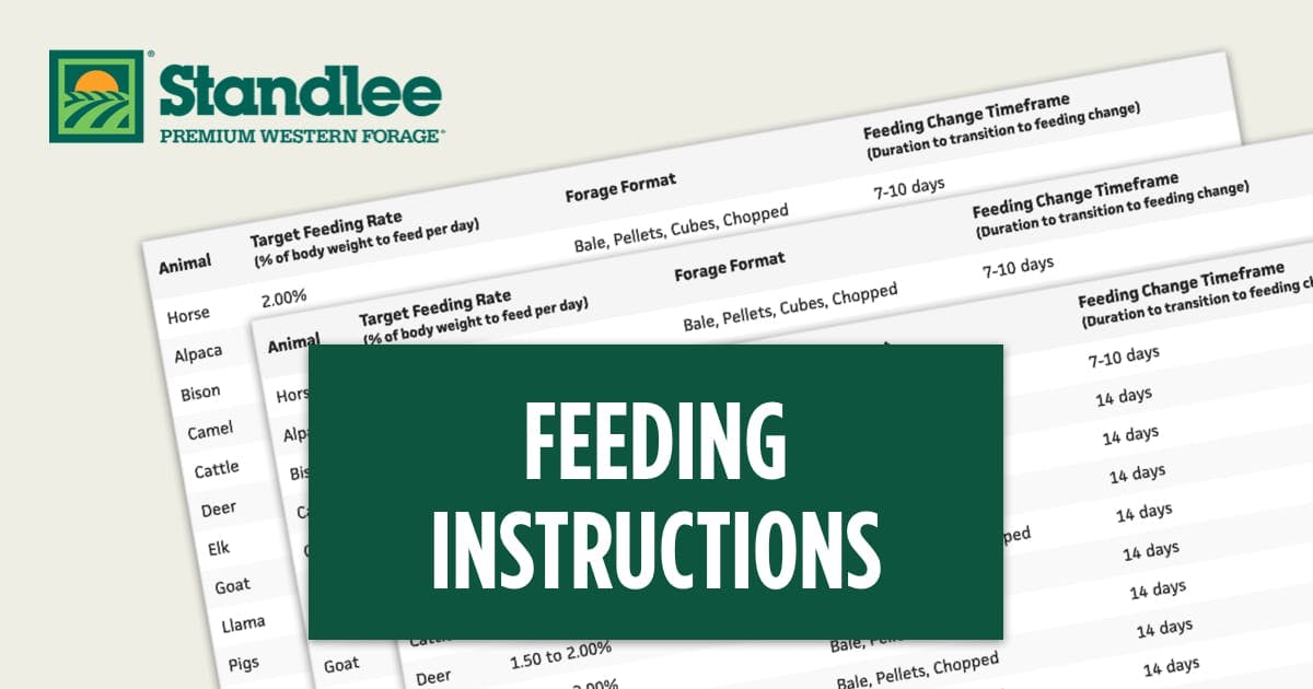 Forage & Beet Pulp Feeding Instructions | Standlee Forage