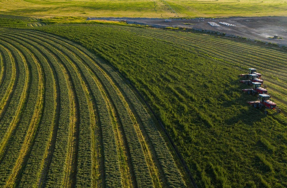 Standlee Alfalfa has a more consistent nutritional profile over time.